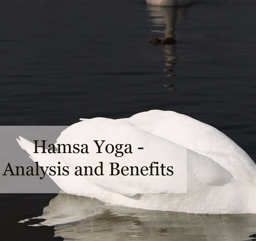 HAMSA YOGA – acharya raman kamra